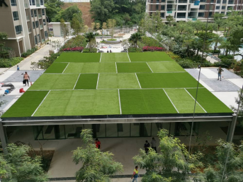 Inspiration | Signature Turf